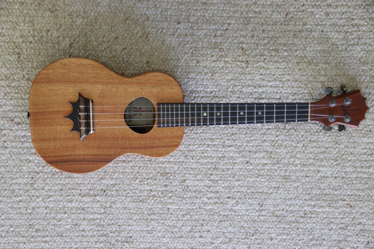 Classical Ukulele: Can you play classical music on the ukulele?