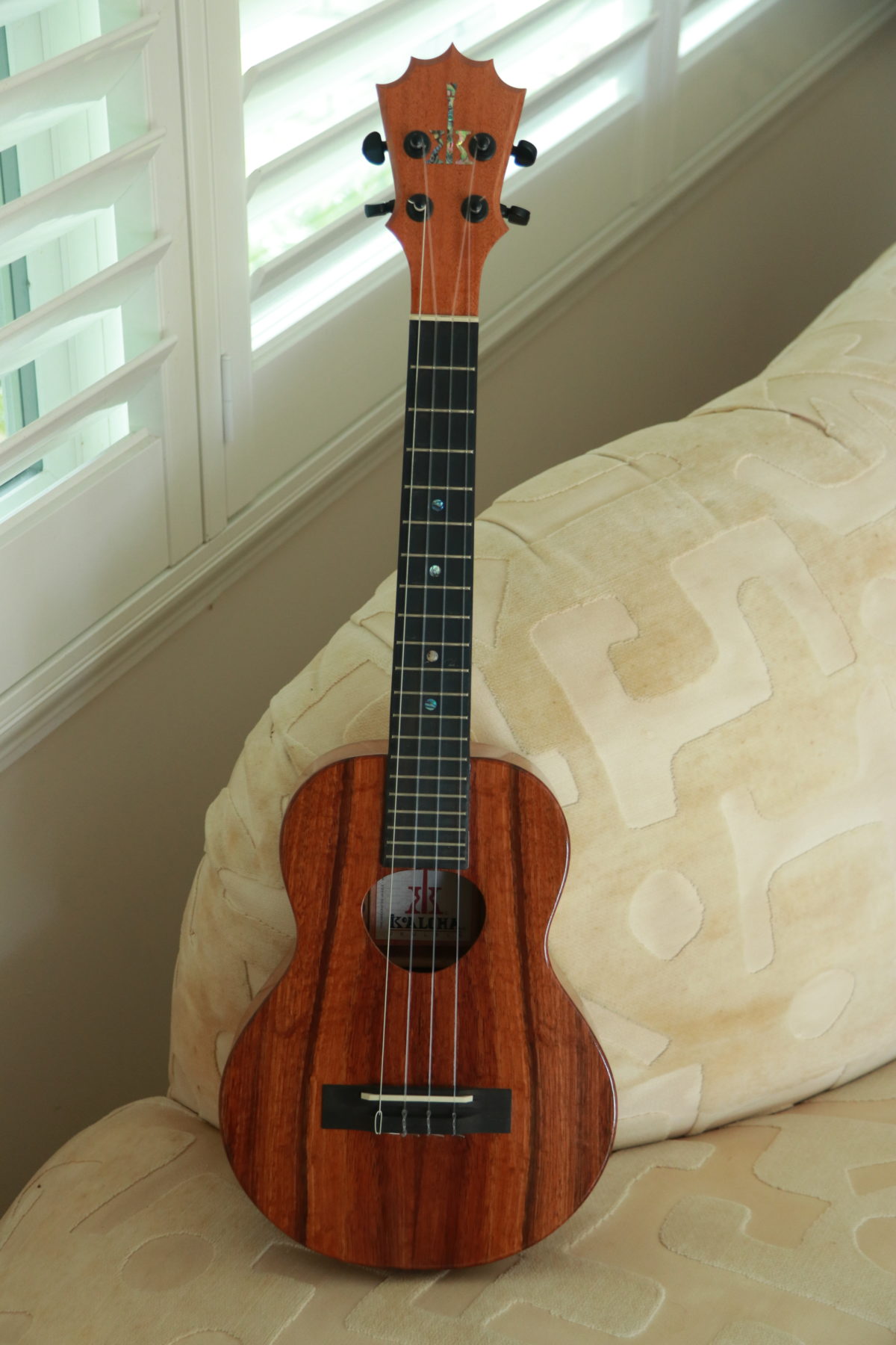 Classical Ukulele: Can you play classical music on the ukulele?
